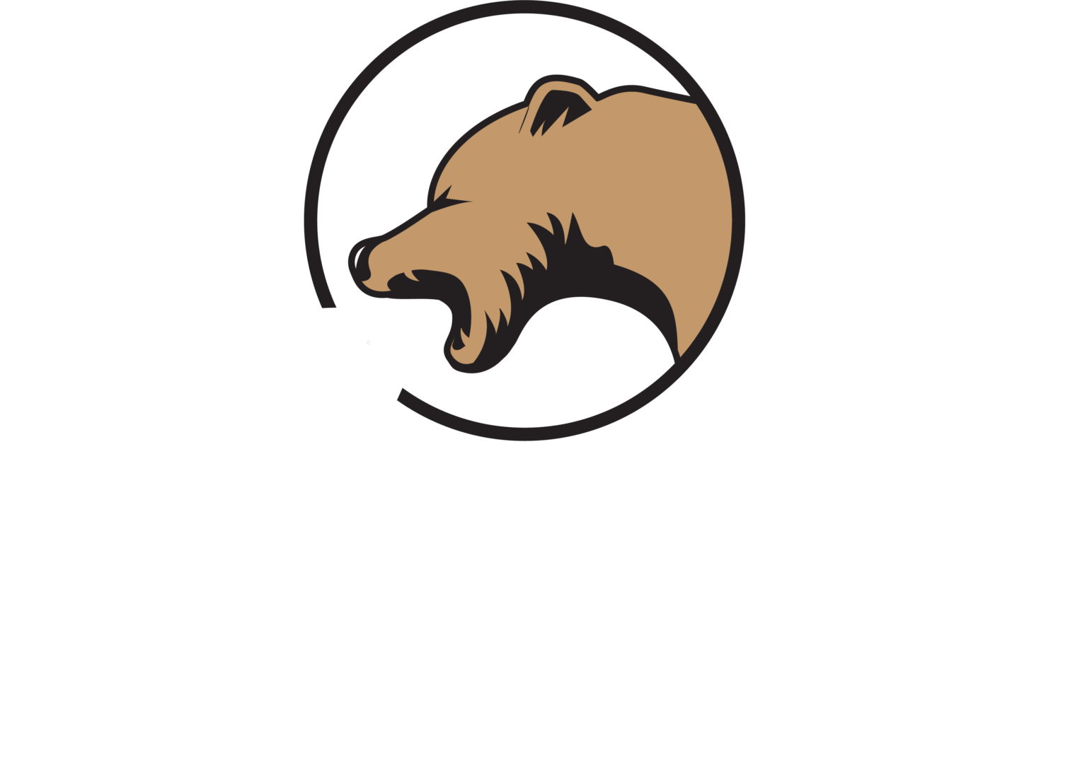 Brooks Lodge in Katmai National Park